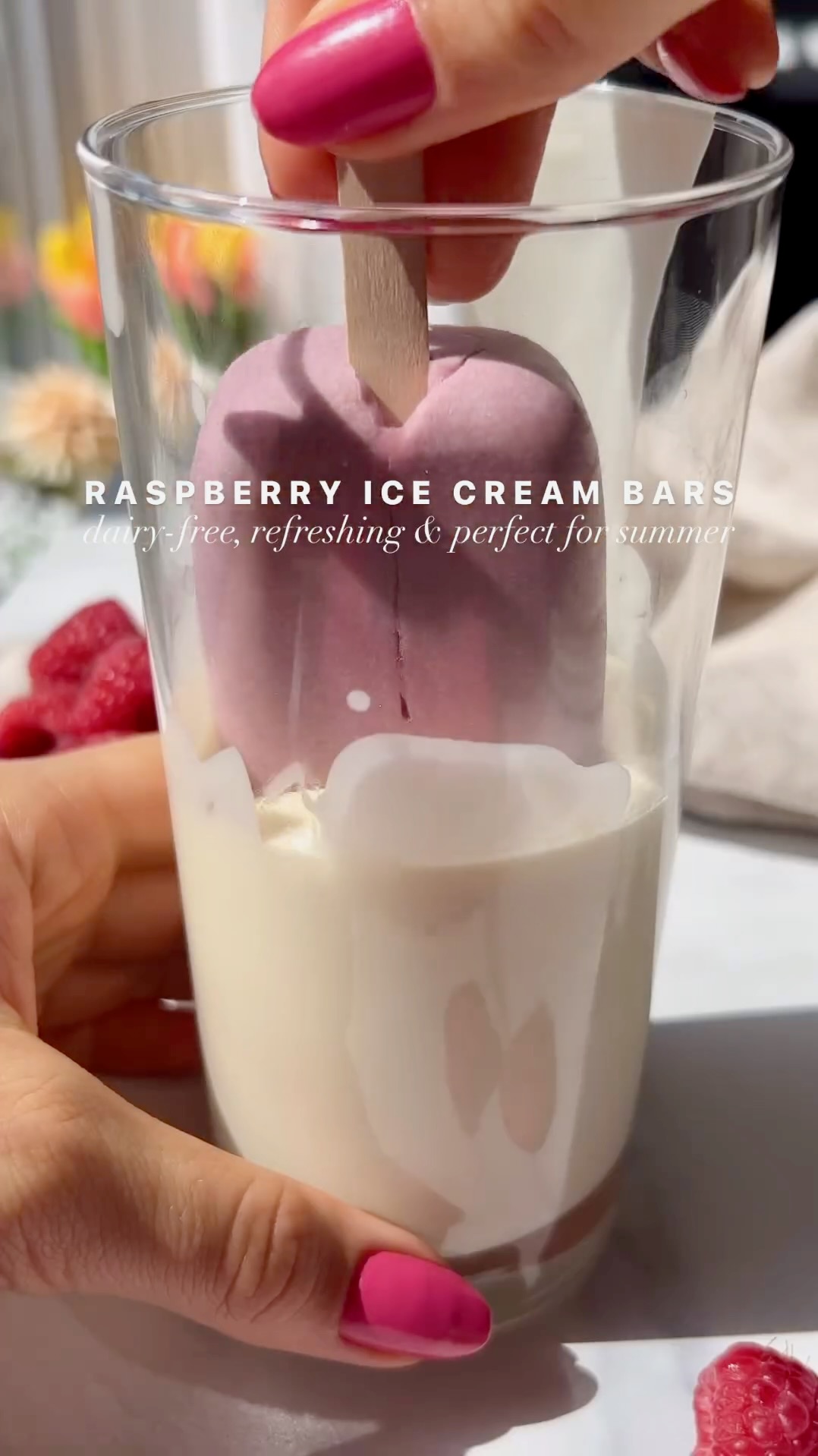 Raspberry Ice Cream Bars