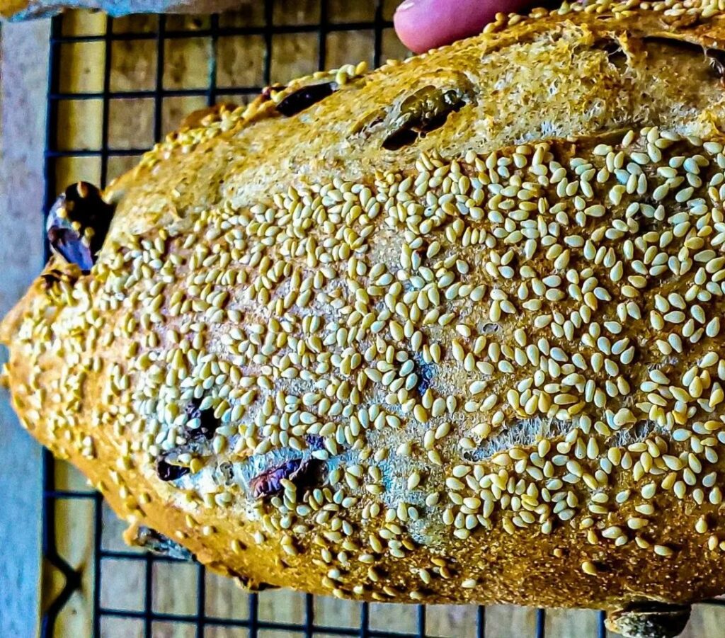 Tuscan Filone Bread Recipe | Crunchy, Chewy, Simple Artisan Loaf ...